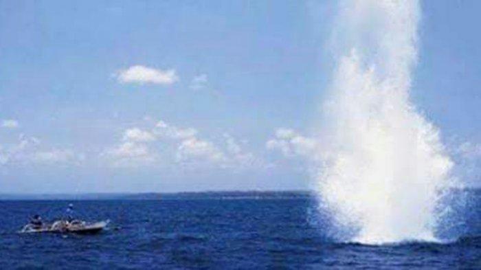 Ini Hukuman Bagi Pelaku Bom Ikan yang Beroperasi di Perairan Maratua ...