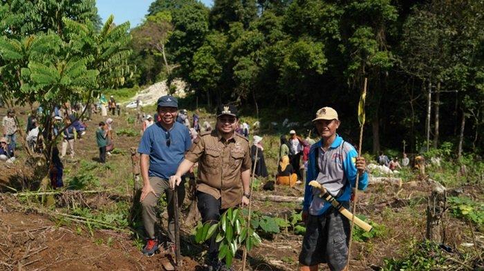 Bupati HST H Aulia Oktafiandi Pimpin Penanaman Bibit Pohon Durian ...