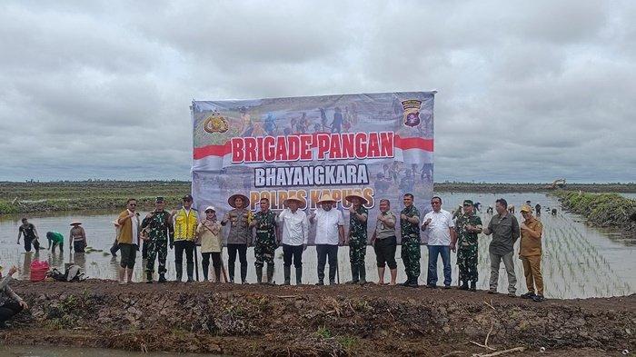 Percepat Swasembada di Kapuas Kalteng, Bentuk Brigade Pangan TNI-Polri - Banjarmasinpost.co.id