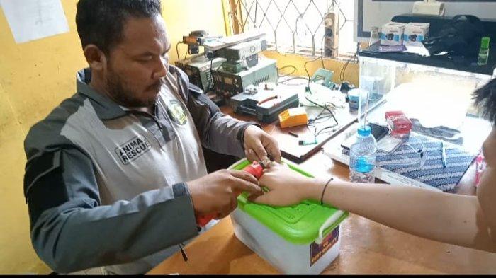 Gunakan Gerinda Mini, Damkar HSU Bantu Lepaskan Cincin Baja di Jari ...