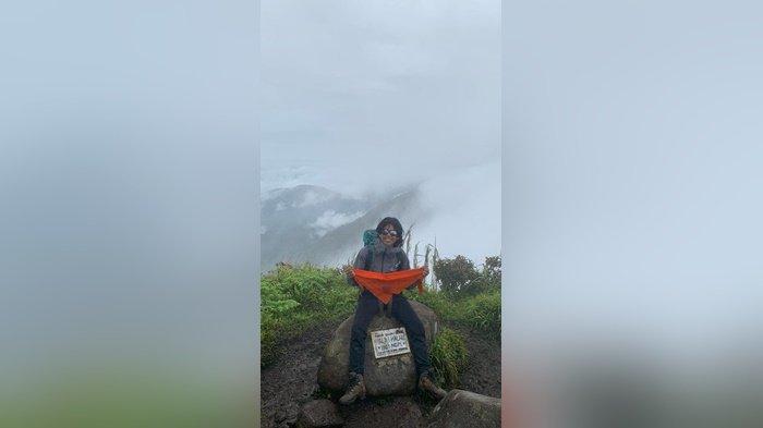 WISATA KALSEL- Eksotisme Hamparan Awan di Puncak Gunung Halau-Halau ...