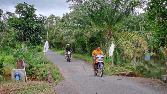 Kondisi Jembatan di Desa Sungai Raya Batola Ini Bikin Was-was ...