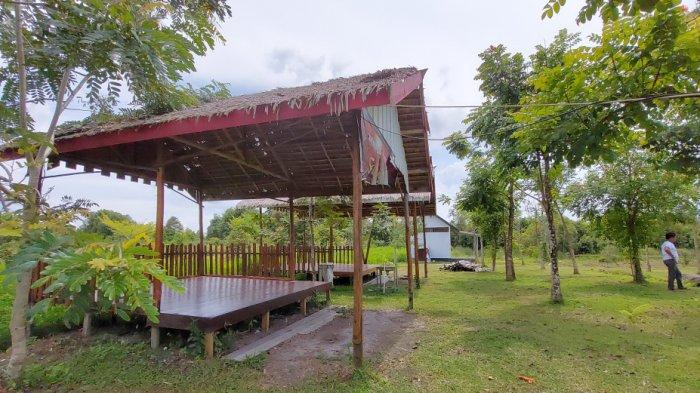 Wisata Kakteng - Tiap Hari Ada Lomba Mancing di Pemancingan Datu Mangku Karengbangkirai ...