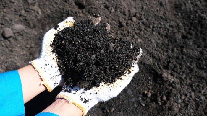 PLN Berhasil Kelola FABA hingga 1,45 Juta Ton, Dimanfaatkan Jadi ...