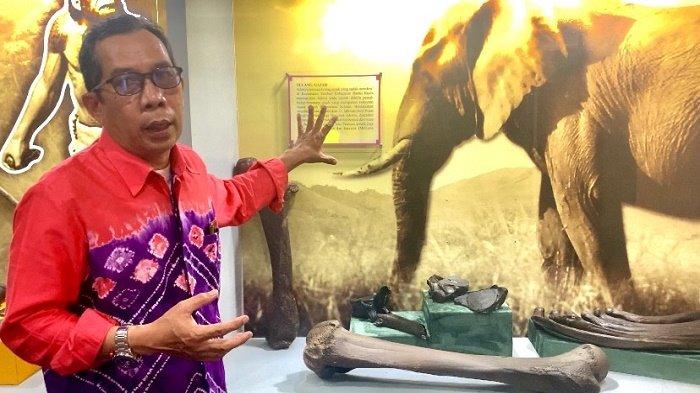 Wisata Kalsel :Jadi Koleksi Tertua Museum Lambung Mangkurat, Fosil ...
