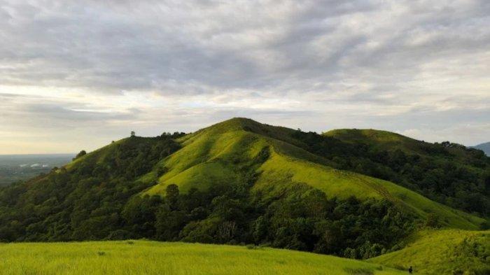 Wisata Bukit Sapu Angin Tala Kembali Ditutup, Dipicu Aktivitas ...
