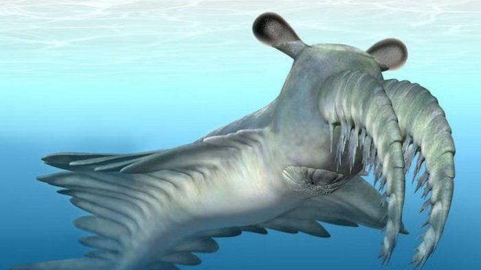 Penampakan Udang Raksasa Hidup di Periode Kambrium, Miliki Cakar dan ...