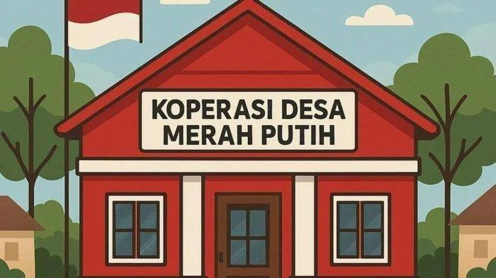 Ada Perkembangan Signifikan, Koperasi Merah Putih di Tapin Masuk Tahap ...