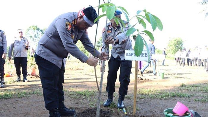 Penghijauan Peringati HUT Bhayangkara ke 78, Polres Banjarbaru Tanam 1.000 Pohon di Guntung ...