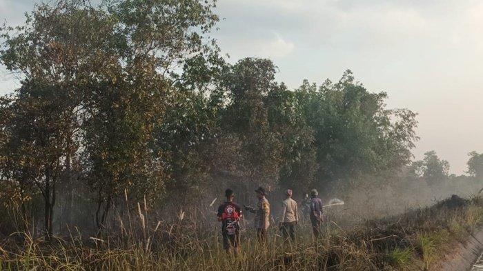Tim Gabungan Lakukan Pemadaman Api Karhutla di Cintapuri Kabupaten ...