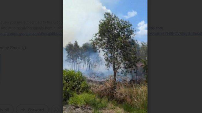 BREAKING NEWS - Geger Kebakaran Lahan di Handil Bakti Batola, Relawan ...
