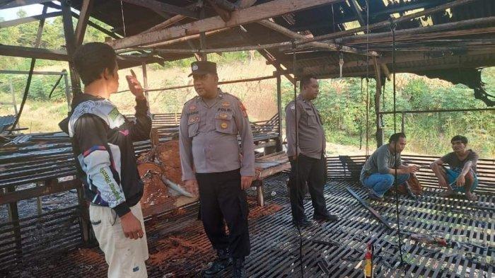 Nilai Kerugian Akibat Kebakaran Kandang Ayam di Bontang Kalimantan Timur, Diduga Korsleting ...