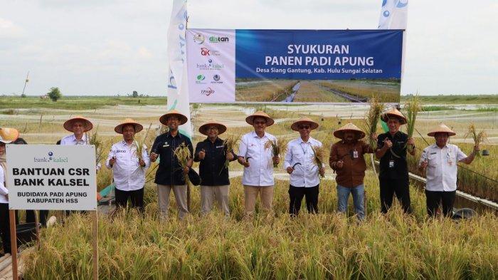 Bank Kalsel Wujudkan Kolaborasi Ketahanan Pangan dan Dorong Ekonomi ...