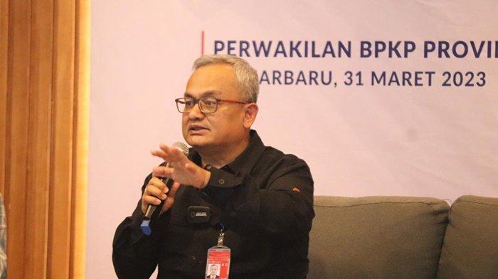 BPKP Ungkap 12 Pemda di Kalimantan Selatan Belum Mandiri, Ini ...