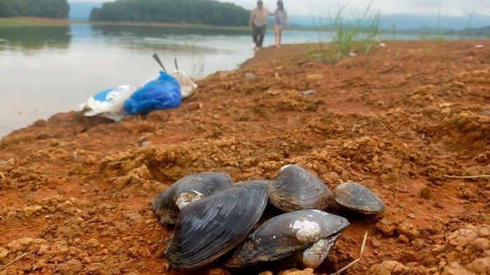 Wisata Kalsel : Melancong ke Murung Batu Laba, Pengunjung Rasakan ...