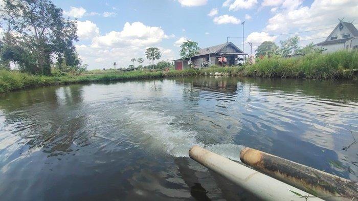 Petani Keramba Kabupaten Banjar Minta Pengeringan Irigasi Riam Kanan ...