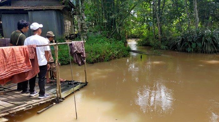 Kualitas Air Sungai Tak Menentu, Warga Dahai Balangan Tak Lagi Budidaya Ikan Keramba ...