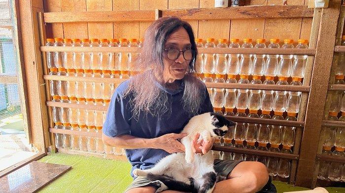 Si Kucing Zorro dari Banjarmasin yang Bawa Untung bagi Tuannya, Dikenal ...