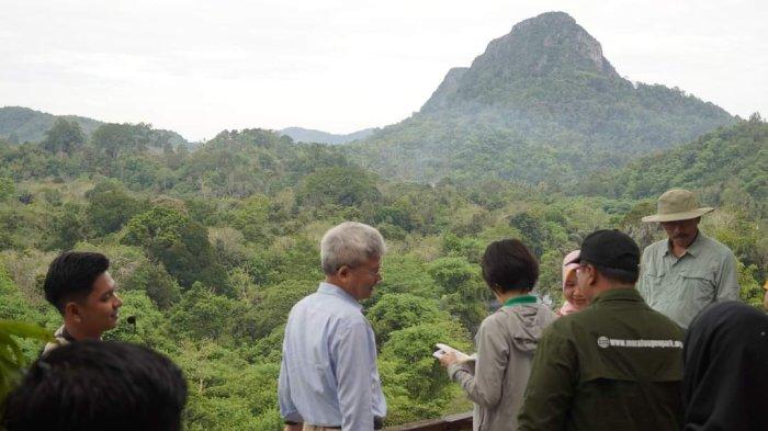 Kunjungi Loksado, Tim Evaluasi Global Geopark Mendaki Bukit Langara dan Nikmati View Gunung ...