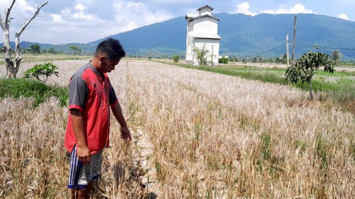 Dinas Pertanian Kabupaten Kotabaru Janji Realisasikan Infrastruktur Air Sungai Seratak ...