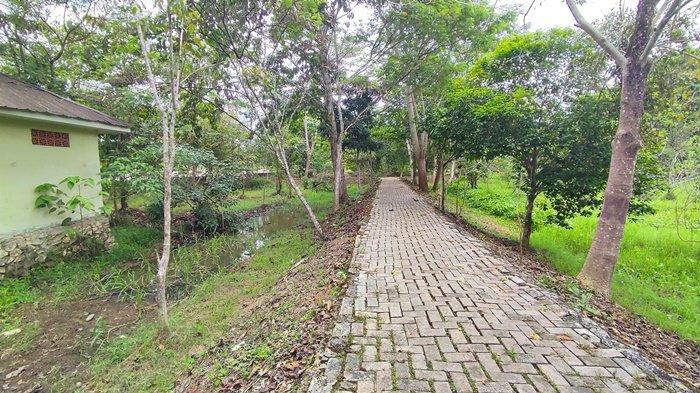 Wisata Kalsel - Keliling di Hutan Kota Rantau, Trek Lintasan Cocok ...