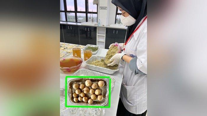 Inovasi Mahasiswa UM Banjarmasin Memanfaatkan Buah Limpasu untuk Bahan ...