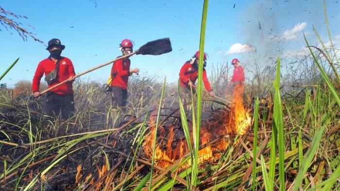 Sehari Tiga Kali Api Membara di Tanahlaut, Petugas Gabungan Berjibaku ...