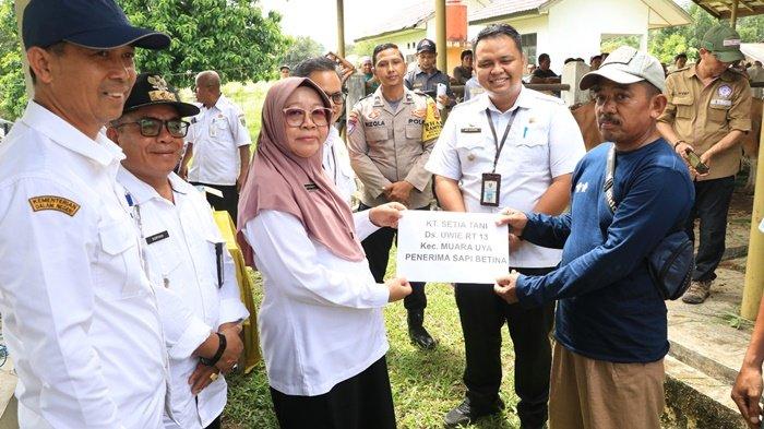 Salurkan Bantuan Sapi, Pj Bupati Tabalong Harapkan Kesejahteraan Peternak - Banjarmasinpost.co.id