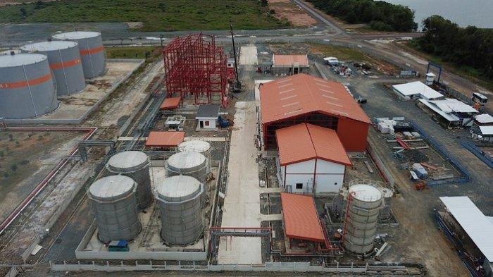 Masyarakat Bisa Nikmati Minyak Goreng Premium Harga Terjangkau Produksi ...