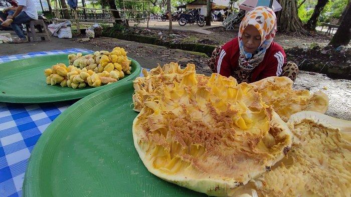 Cempedak, Tak Hanya Isi, Biji dan Kulitnya pun Bernilai Ekonomis ...