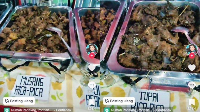 Kalong, Ular, hingga Tupai Rica-rica, Menu Makanan Unik Warnai Pekan ...