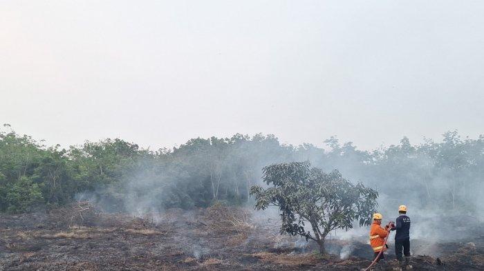 Karhutla Ancam Wilayah Tabalong, Begini Potensinya - Halaman all ...