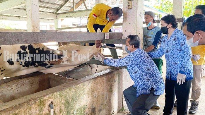 Jelang Idul Adha 2022, DKP3 Kabupaten Balangan Pastikan Ketersediaan Hewan Kurban Terpenuhi ...