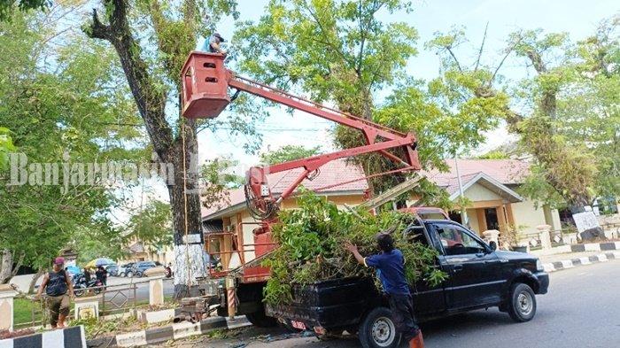 Dinas LHP Pangkas Dahan Mahoni Lapuk di Kawasan Lapangan Dwi Warna Kota ...