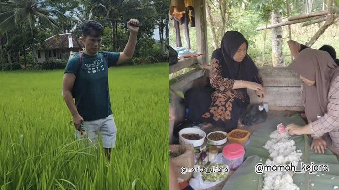 Penampakan Sawah Lesti Kejora di Kampung, Endang Mulyana Kunjungi Satu Aset Istri Rizky Billar ...