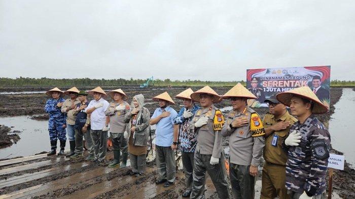 Dukung Swasembada Pangan, Pemprov Kalsel Tanam Jagung di Lahan 120 Hektare - Banjarmasinpost.co.id
