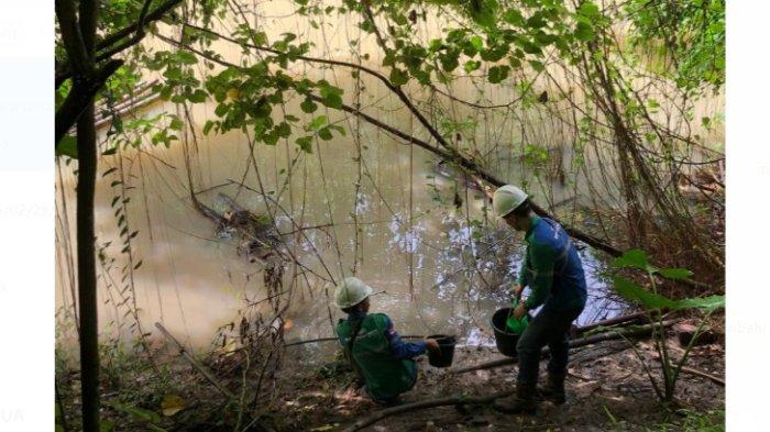 PT MMI Terus Perduli Terhadap Lingkungan dan Pelayanan Publik ...