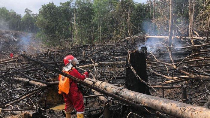 Mengadang Karhutla Datang - Banjarmasinpost.co.id