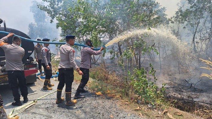 Antisipasi Kebakaran Hutan dan Lahan, BPBD Banjarbaru Siapkan Sekat Bakar - Banjarmasinpost.co.id