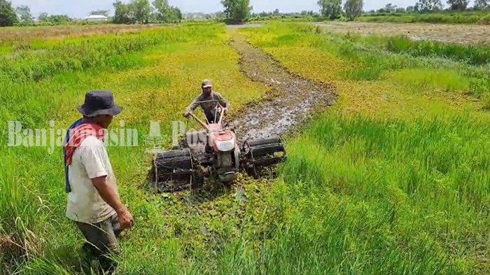 Solar Eceran Kosong, Traktor Tangan Petani Sampurna Kabupaten Batola ...