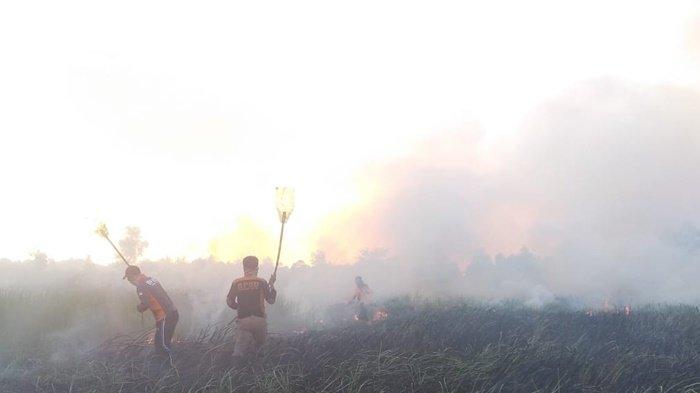Dua Hari Api Berkobar di Tanahlaut Kalsel, Karhutla Bikin Belasan Hektare Lahan Hangus Terbakar ...