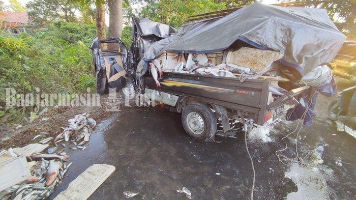 Sopir Ngantuk, Pikap Bermuatan Ikan Tabrak Pohon di Jalan By Pass Rantau Tapin - Banjarmasinpost ...
