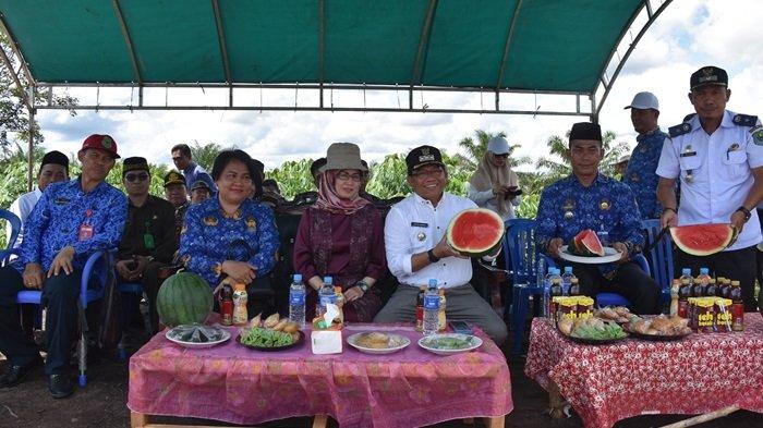 Pesan Pj Bupati Kapuas saat Lakukan Panen Perdana Semangka di Desa ...