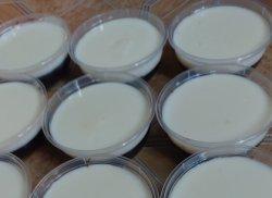 Nikmatnya Puding Jely Siram Saos Pla Susu Creamy, Begini Cara Membuat ...