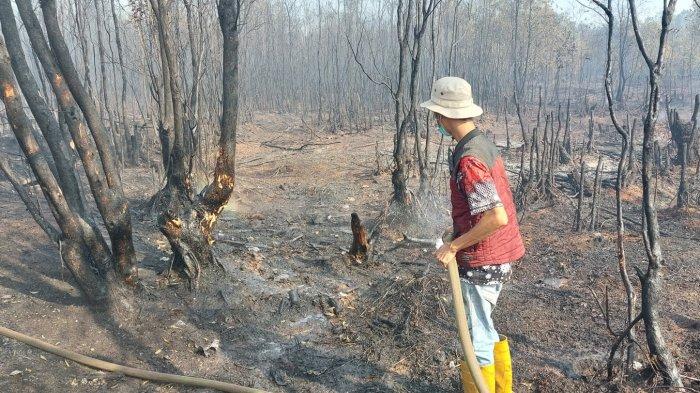 Permukiman di Liang Anggang Banjarbaru Disambar Karhutla, Warga ...