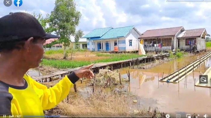 Sukses Kembangkan Sistem Budidaya Padi Apung, Petani Batola Ini Siap ...