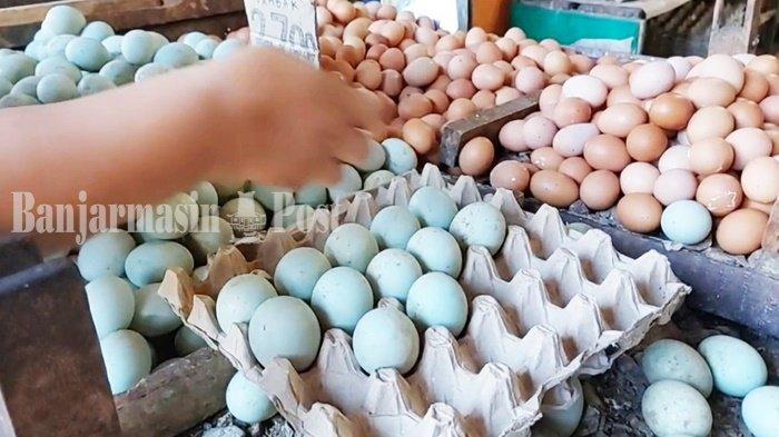 Harga Telur Ras Lokal Kalimantan Selatan Naik karena Biaya Produksi ...