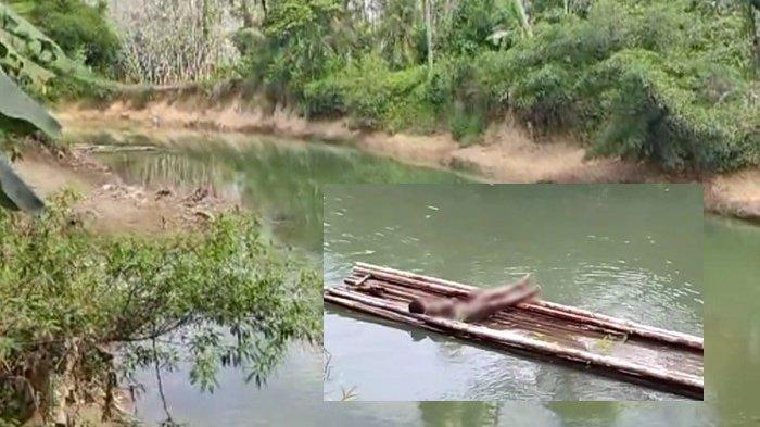 Mayatnya Ditemukan Mengapung di Desa Bakti HST, Pria Ini Sempat ...