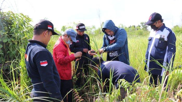 Perusahaan Penyebab Kebakaran Lahan di Batola Diwajibkan Ganti Rugi hingga Ratusan Miliar ...