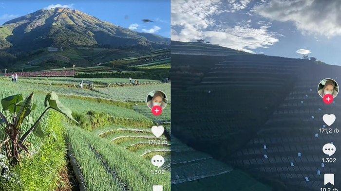 Bak Resort Mewah, Viral Pemandangan Indah di Balik Pintu Toilet di ...